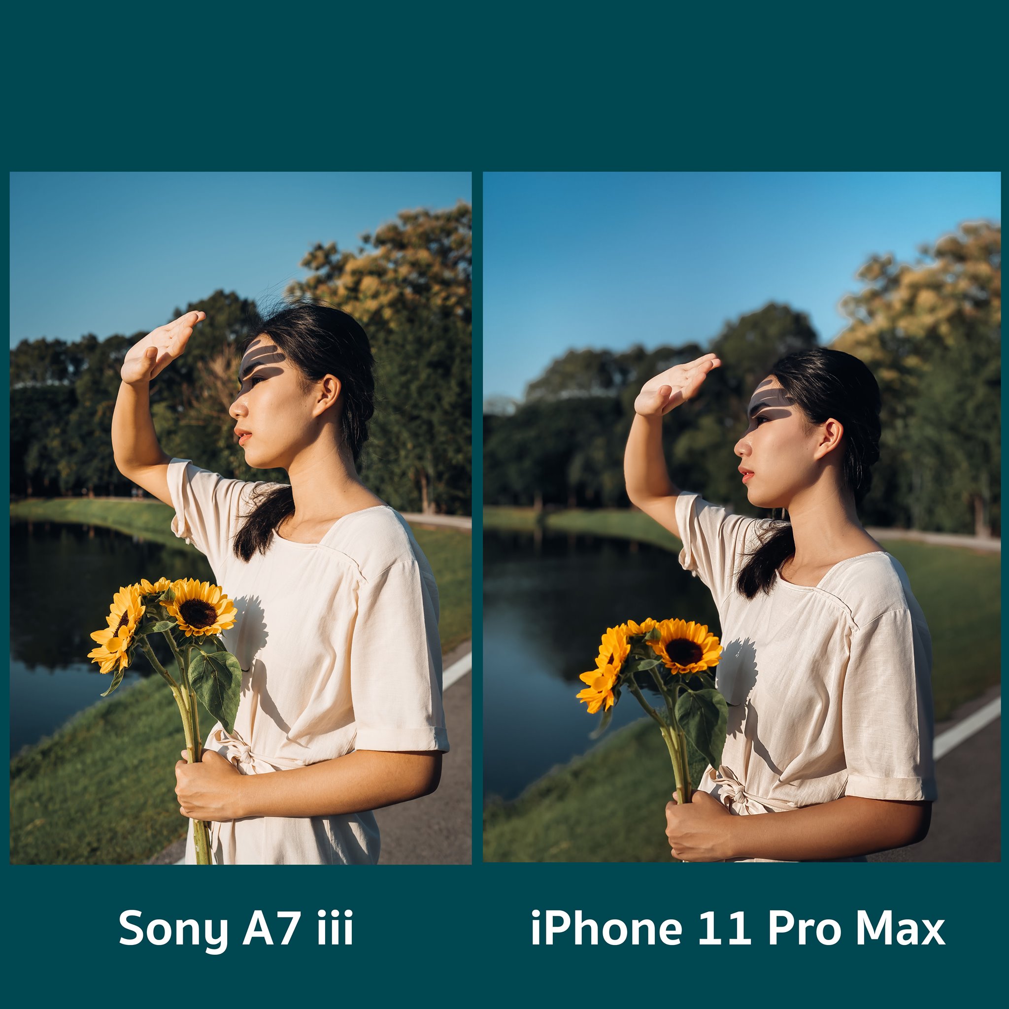 So sánh ảnh chụp iPhone 11 Pro Max với Sony A7III chế độ JPEG - Hoàng ...